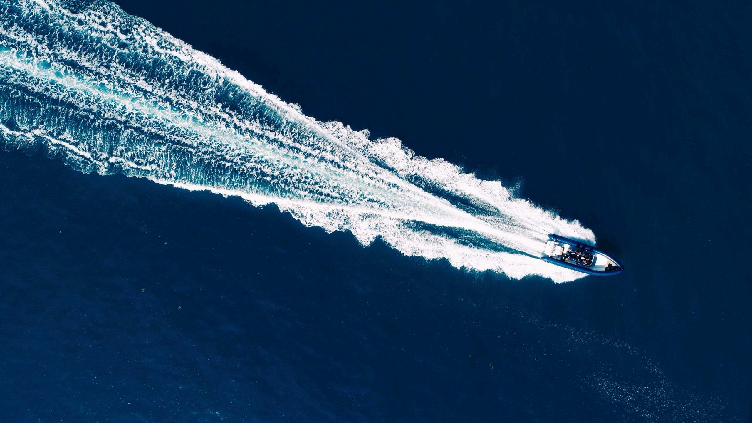 Get in touch RIB Charters in Solent Water